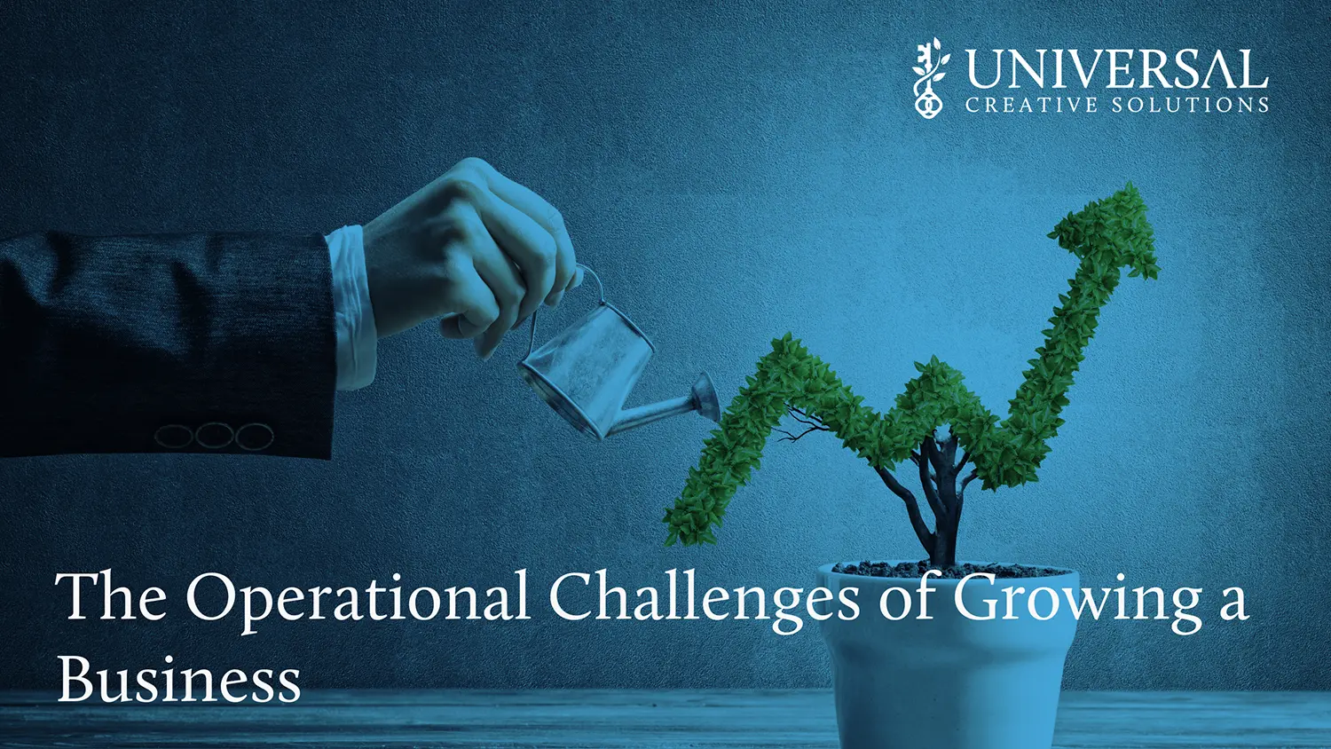 The Operational Challenges of Growing a Business | Universal Creative ...